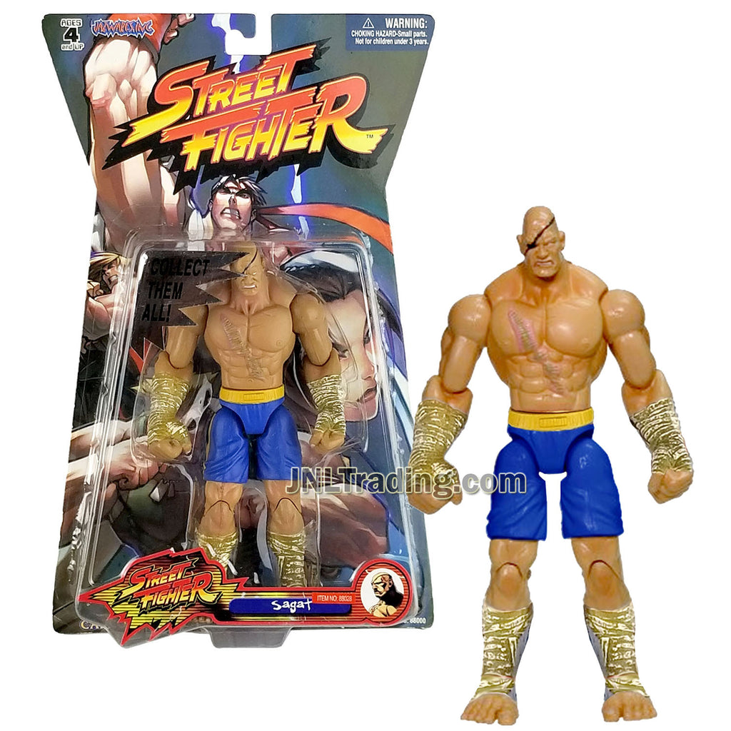Year 2005 Capcom Street Fighter Series 7 Inch Tall Figure - SAGAT (Pla ...